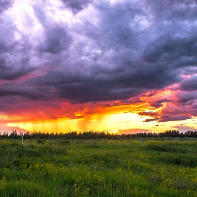 Green Grass Field Under Cloudy Sky During Sunset Full HD - KDE Store