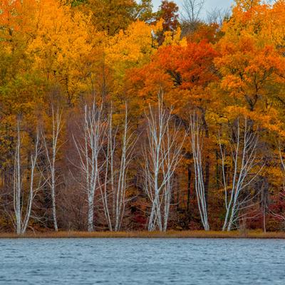 Reflection - KDE Store