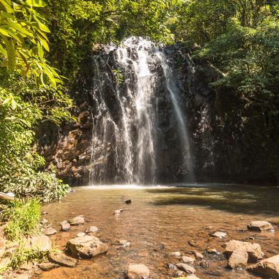 Waterfalls in The Middle of The Forest During Daytime Full H - KDE Store