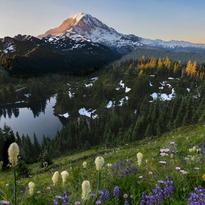 Tolmie Peak Fire Lookout - KDE Store