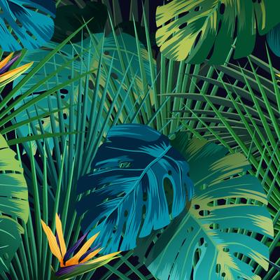 Illustration - KDE Store