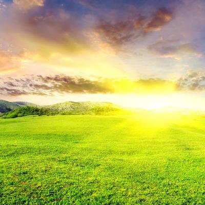 Green Grass Field Under Blue Sky and White Clouds During Day - KDE Store