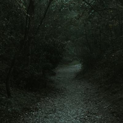 Natural Environment - KDE Store