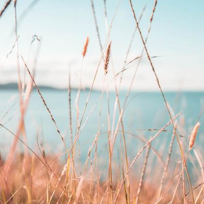 Natural Landscape - KDE Store