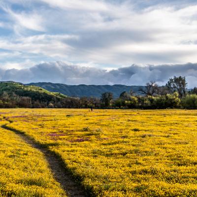 Mount Scenery - KDE Store