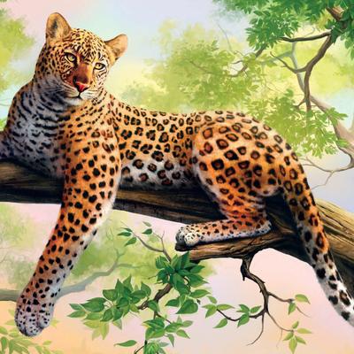 Leopard on Tree Branch During Daytime Full HD - KDE Store
