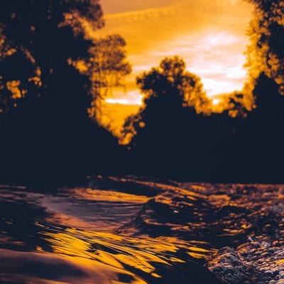 Silhouette of Trees During Sunset Full HD - KDE Store