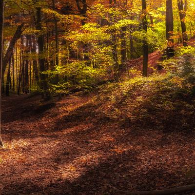 Brown Full HD - KDE Store