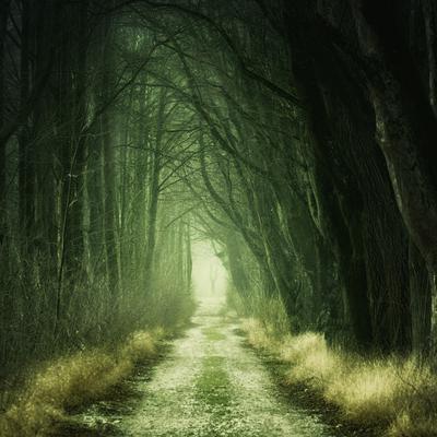 Natural Landscape - KDE Store