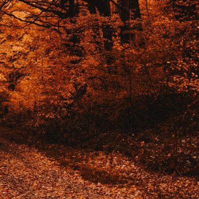 Natural Landscape Full HD - KDE Store