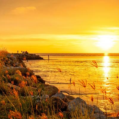 Golden Sunset Summer Coast Sunshine Horizon 5K - KDE Store