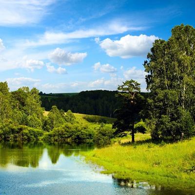 Blue Sky Calm Lake Scenery Wilderness Finland .. - KDE Store