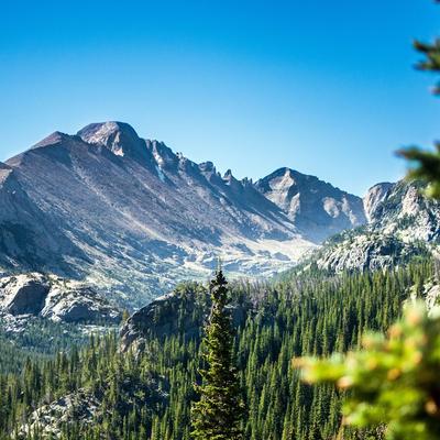 Alps Mountain Valley Tree Nature Forest 5K - KDE Store