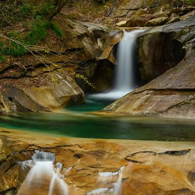 Jungle River Stream 2020 Nature Scenery Photo - KDE Store