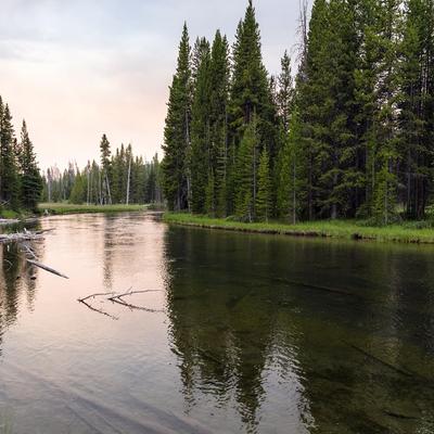 Spring river forest 2020 Nature Scenery Photo - KDE Store