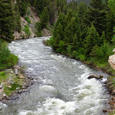 River Course Forest 2020 Nature Scenery Photo River_Course_F - KDE Store