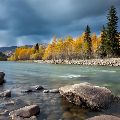 Autumn Jungle River Stone 2019 Scenery Photo Autumn_Jungle_ - KDE Store