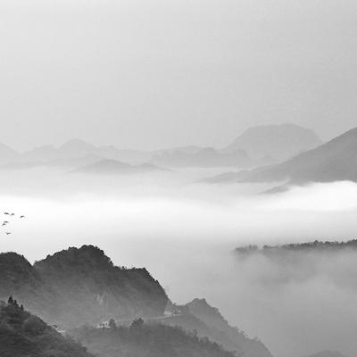 Chinese ink landscape jungle landscape fog - KDE Store