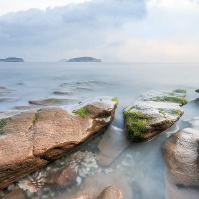 Beach coral rock moss ocean horizon - KDE Store