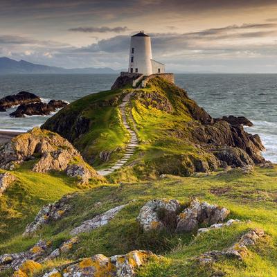 Green meadow coast lighthouse ocean - KDE Store
