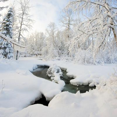 Winter Alaska snow forest river - KDE Store