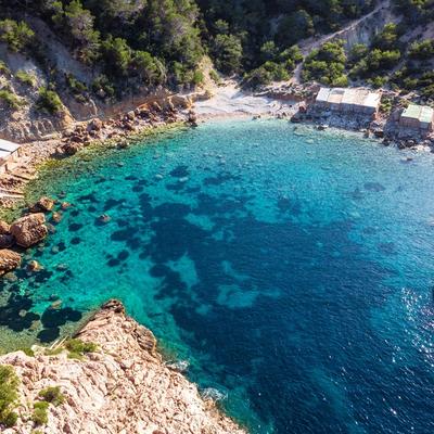 Sunshine Reef Inland sea Coast Es Portitxol Sp.. - KDE Store