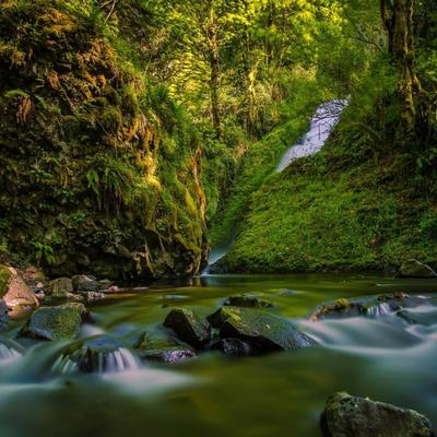 Forest river spring-Nature Scenery Wallpaper - KDE Store