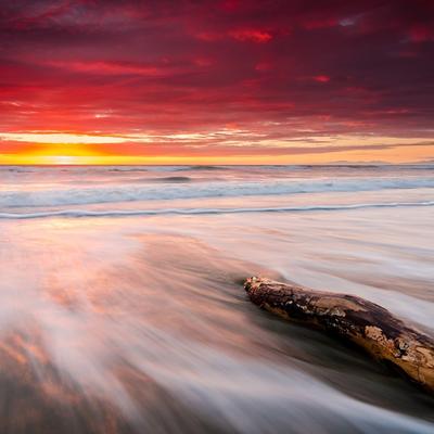 Leithfield beach sunrise-Hot summer Photo Wall.. - KDE Store