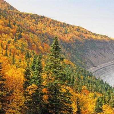 Jungle Coast resources autumn-Landscape Theme .. - KDE Store