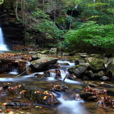 Summer Forest Creek-HD Desktop Wallpaper - KDE Store