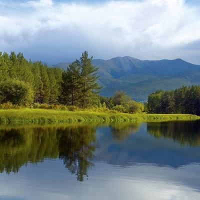trees coast lake siberia-Nature Desktop Wallpa.. - KDE Store