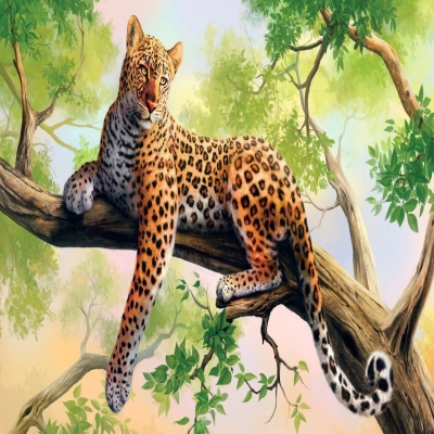 Leopard on Tree - KDE Store