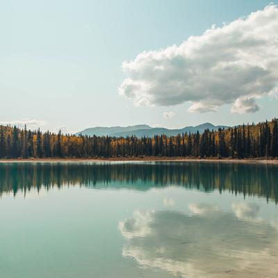 Reflection - KDE Store