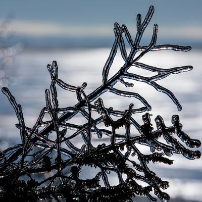 Freezing - KDE Store