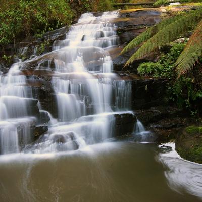 Water Falls in The Middle of Green and Brown Plants Full HD - KDE Store