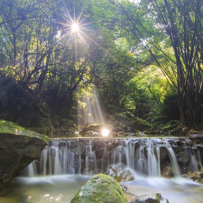 Waterfalls in Forest During Daytime Full HD - KDE Store