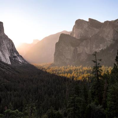 Green Trees Near Mountain During Daytime Full HD - KDE Store