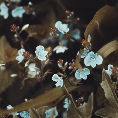 Smartphone - KDE Store