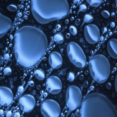 Albot Music - KDE Store