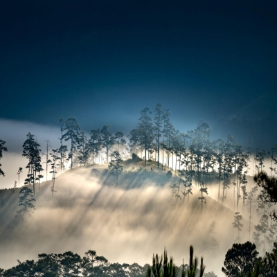 Vector Graphics - KDE Store