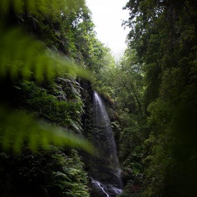 Natural Environment Full HD - KDE Store