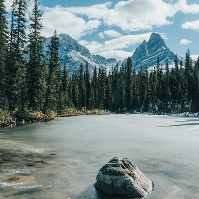 Frozen Lake and Forest - KDE Store