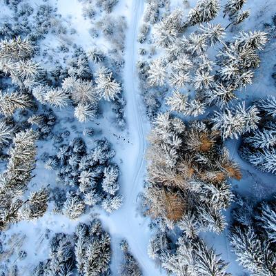 Twig Full HD - KDE Store