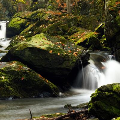 Primeval Jungle Waterfall River Stones Moss 4K - KDE Store