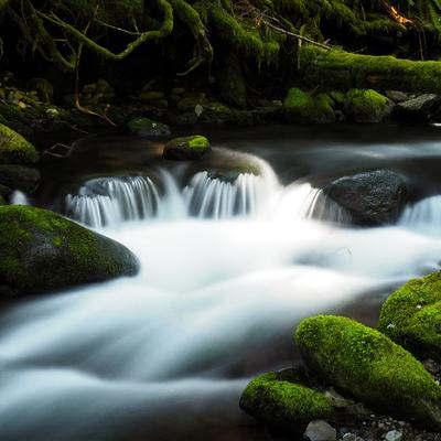 Primeval Forest Moss River Stream Stones 4K Ph.. - KDE Store