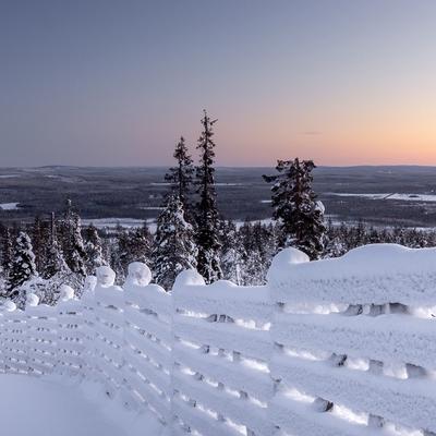 Forest Winter Snow Mountains Fence Road - KDE Store