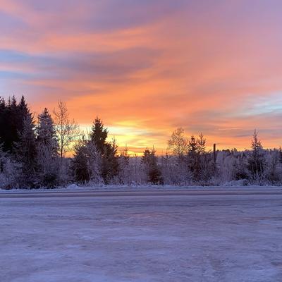 2018 Jungle Cold Winter Snow Hill Dawn - KDE Store