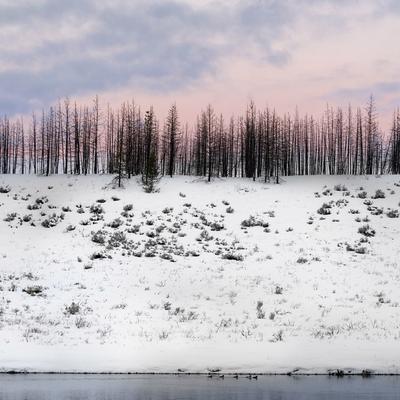 2018 Jungle Cold Winter River Coast Snow - addons.videolan.org