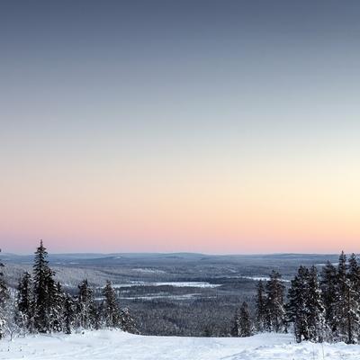 2018 Forest Cold Winter Horizon Snow Nature - KDE Store