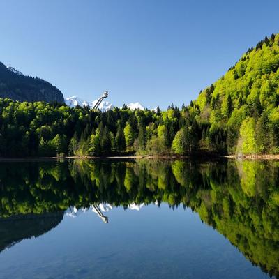 Lake Green Jungle Reflection Blue Sky - KDE Store
